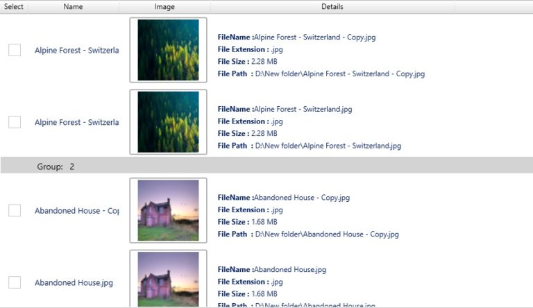 How to Find Similar Pictures on Your PC? - PictureEcho