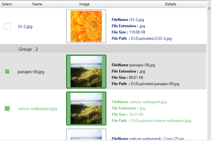 User Guide: PictureEcho - PictureEcho