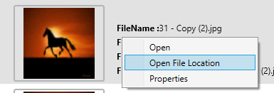 User Guide: PictureEcho - PictureEcho