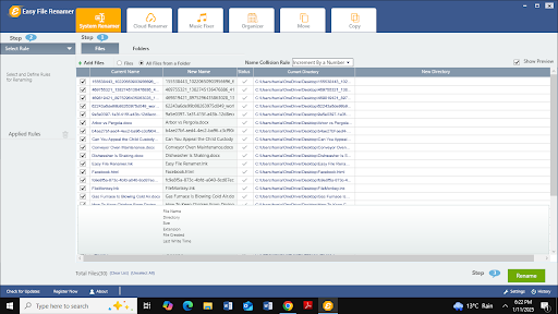 Batch Rename Photos in Windows 11 and Mac - PictureEcho